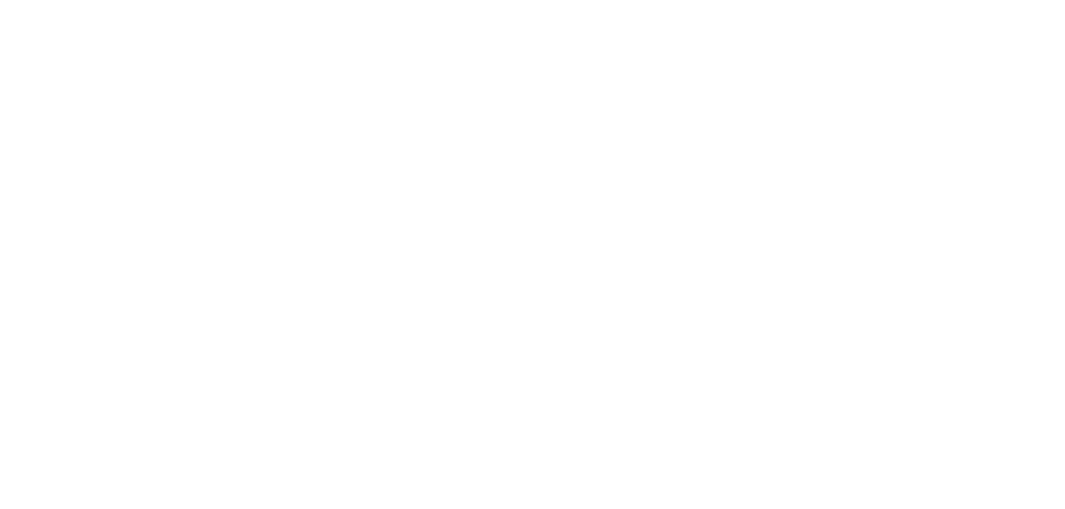 Regional Business Partner Programme - Auckland Chamber